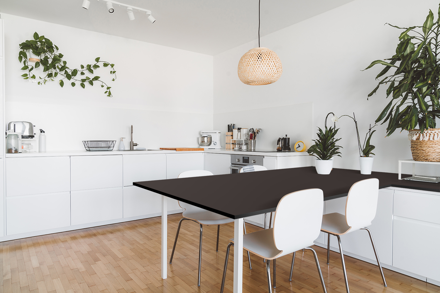 Collection Page - Greenlam-AFX